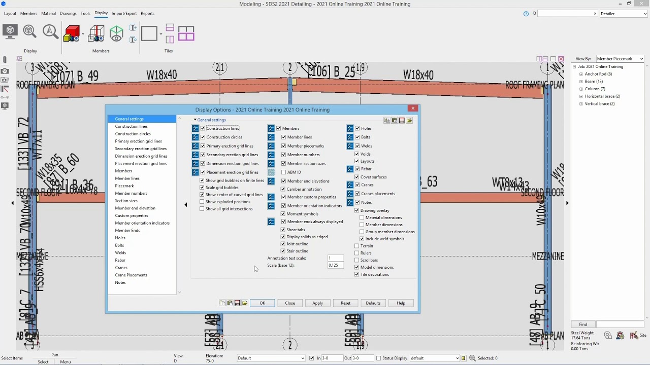 Sds2 2021 Getting Started Display Options Youtube