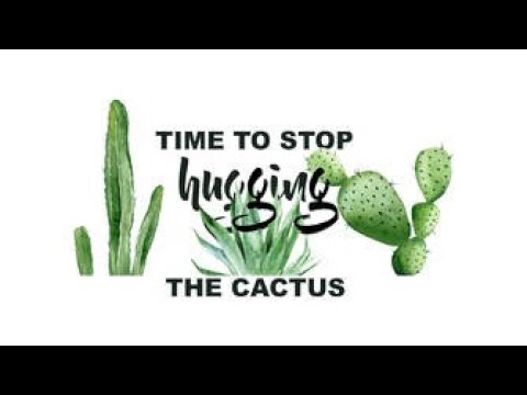 Stop Hugging The Cactus Youtube