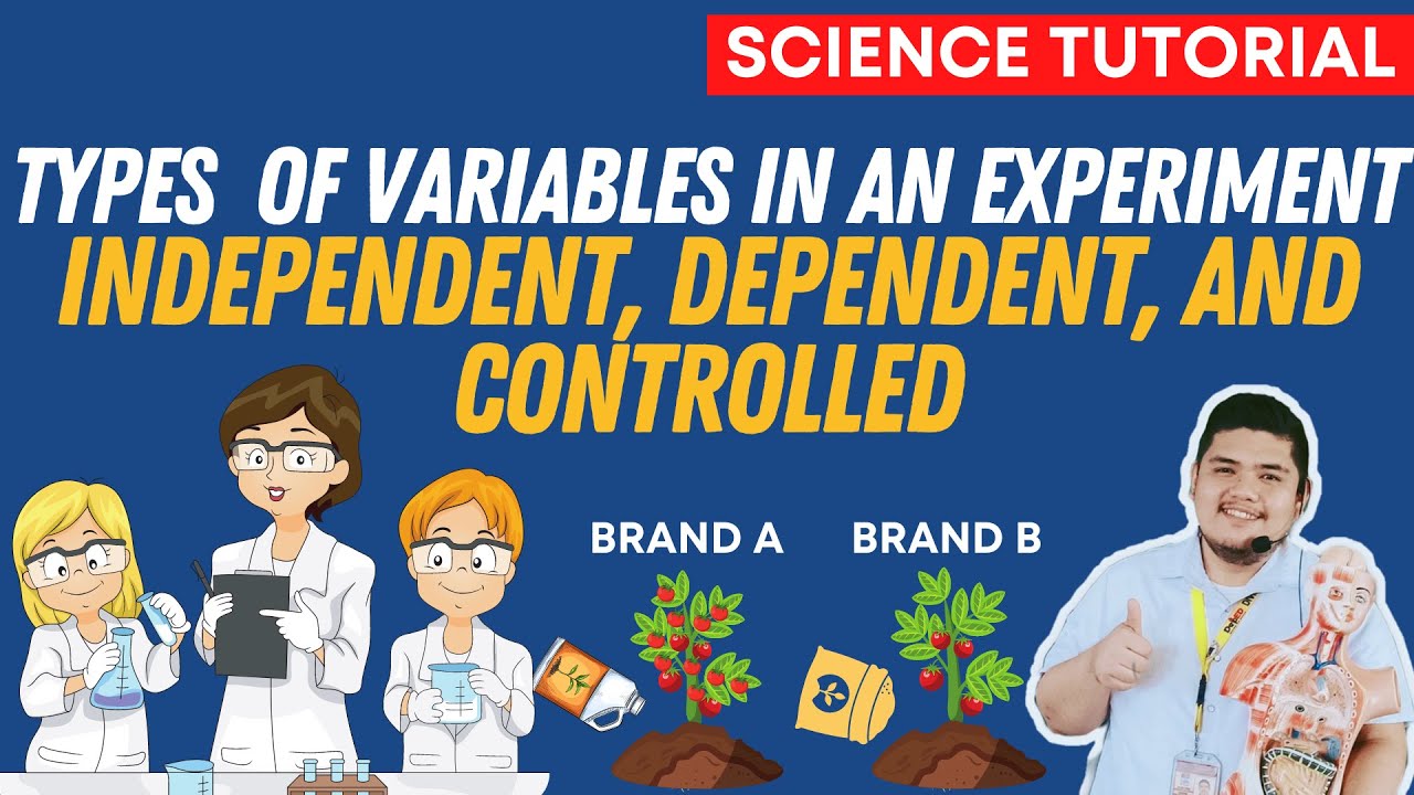Dependent Variable Science Examples Dependent Variable Definition And