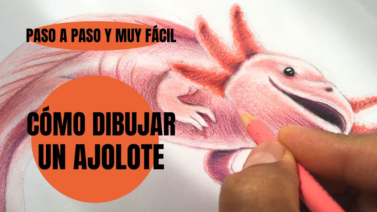Cгіmo Dibujar Un Ajolote Realista Paso A Paso рџ ќ Youtube