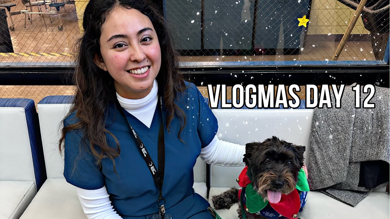 Vlogmas Day 12 Youtube