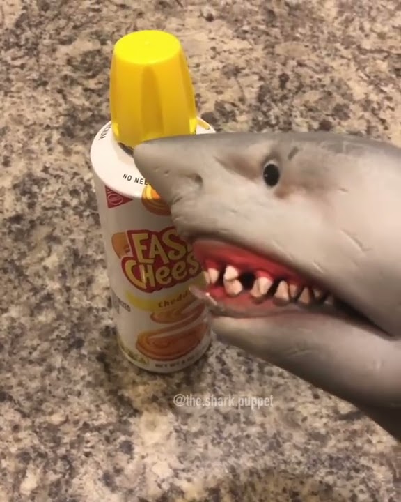 Shark Puppet Eats Cheese Youtube