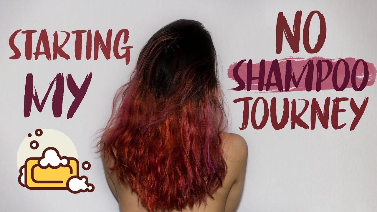Why You Should Stop Using Shampoo At Amanda Castillo Blog
