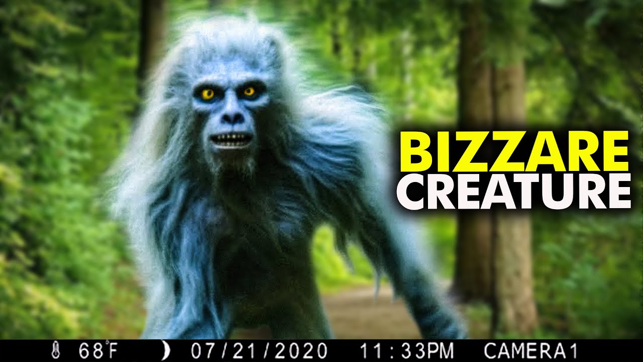 Most Terrifying Trail Cam Footage Ever Witnessed Youtube