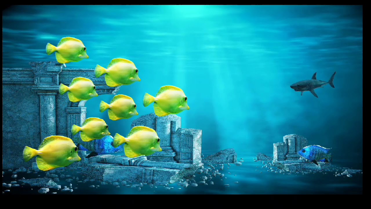 Animation I Underwater Animation Youtube