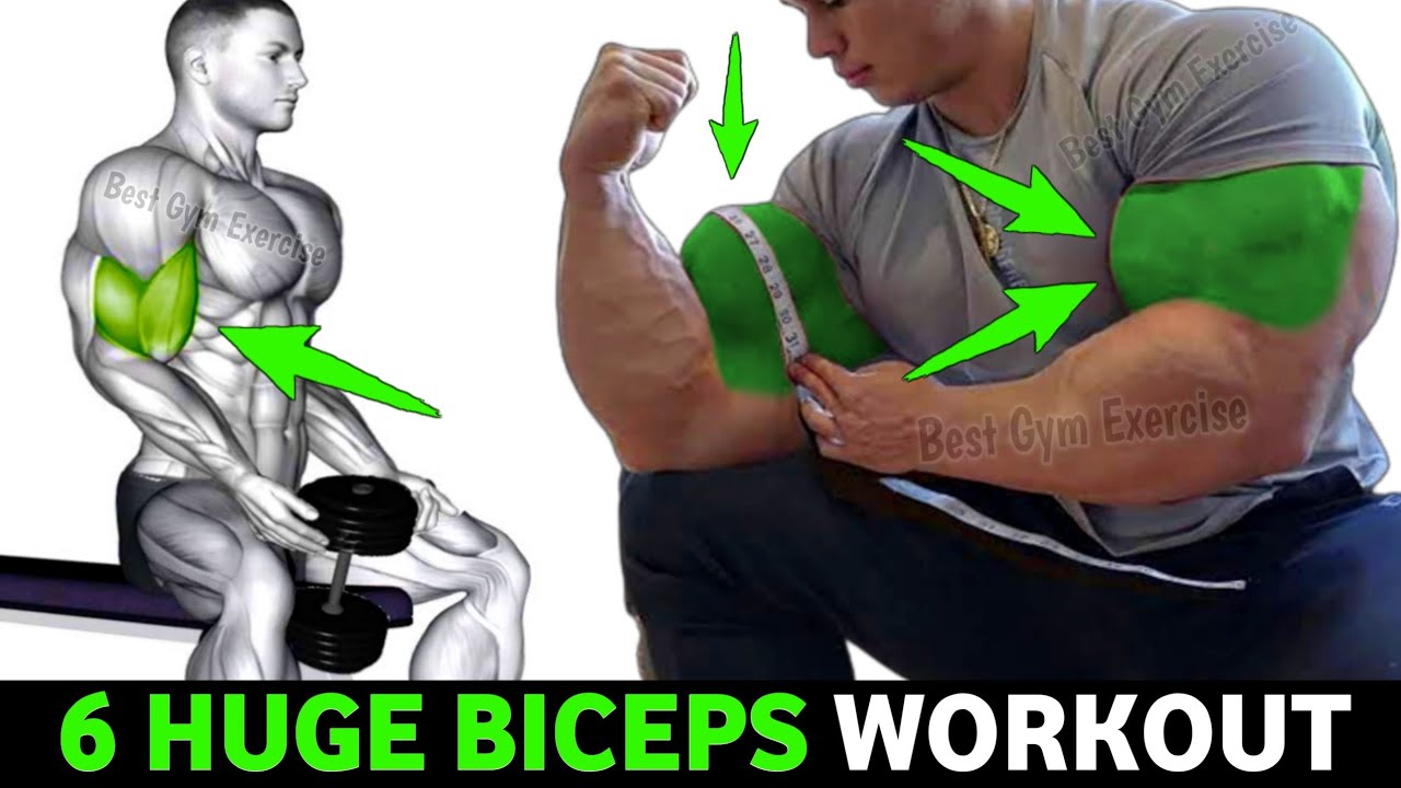 6 Quick And Effective Biceps Workout At Gym Youtube