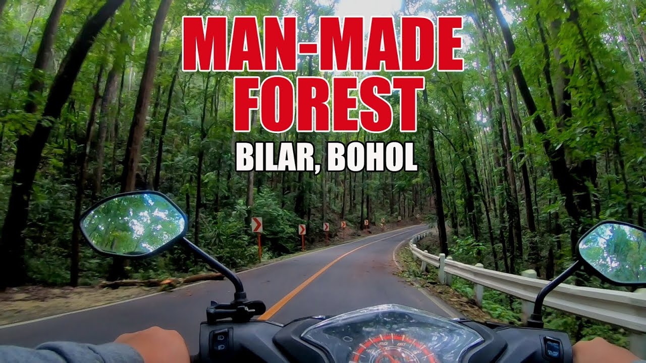 Joyride Bilar Loboc Man Made Forest Youtube