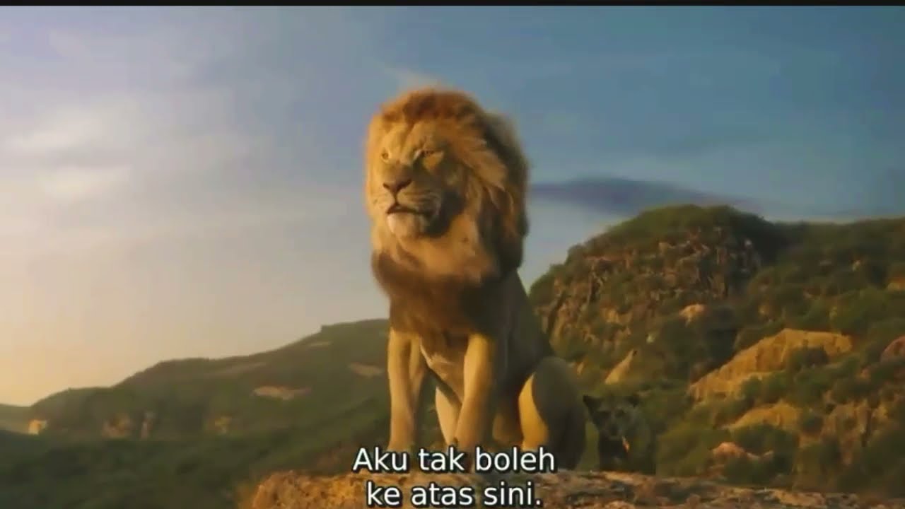 The Lion King Simba Sub Indo Youtube