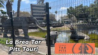 La Brea Tar Pits Tour California Dinosaur Fossils Fou Doovi