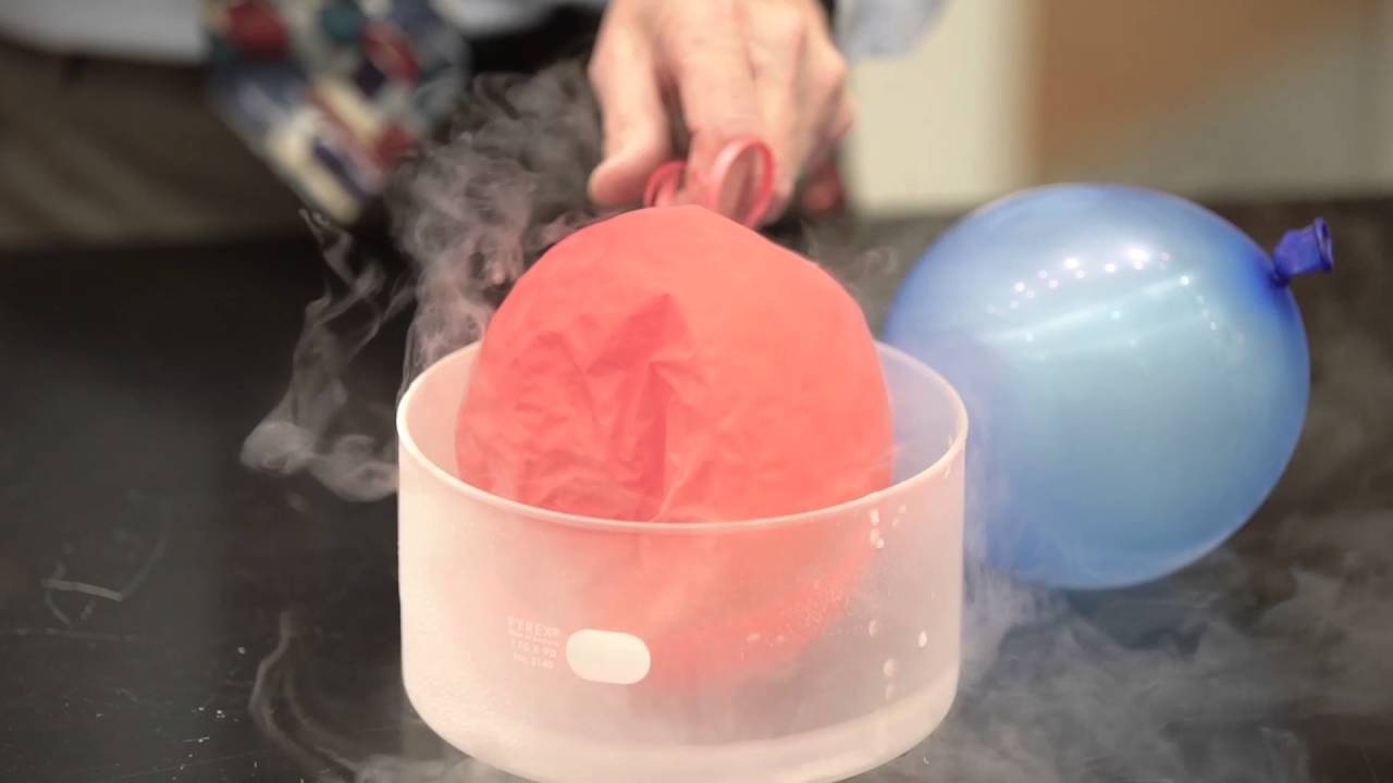 Pressure Demo Balloons In Liquid Nitrogen Youtube