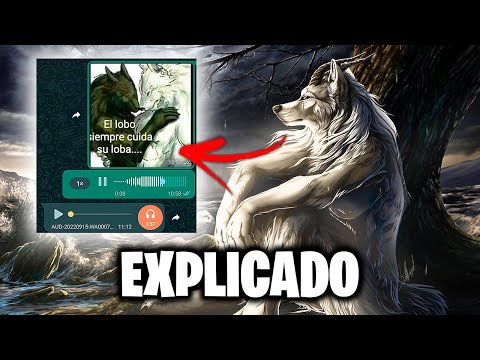 El Lobo Siempre Cuida Su Loba Know Your Meme