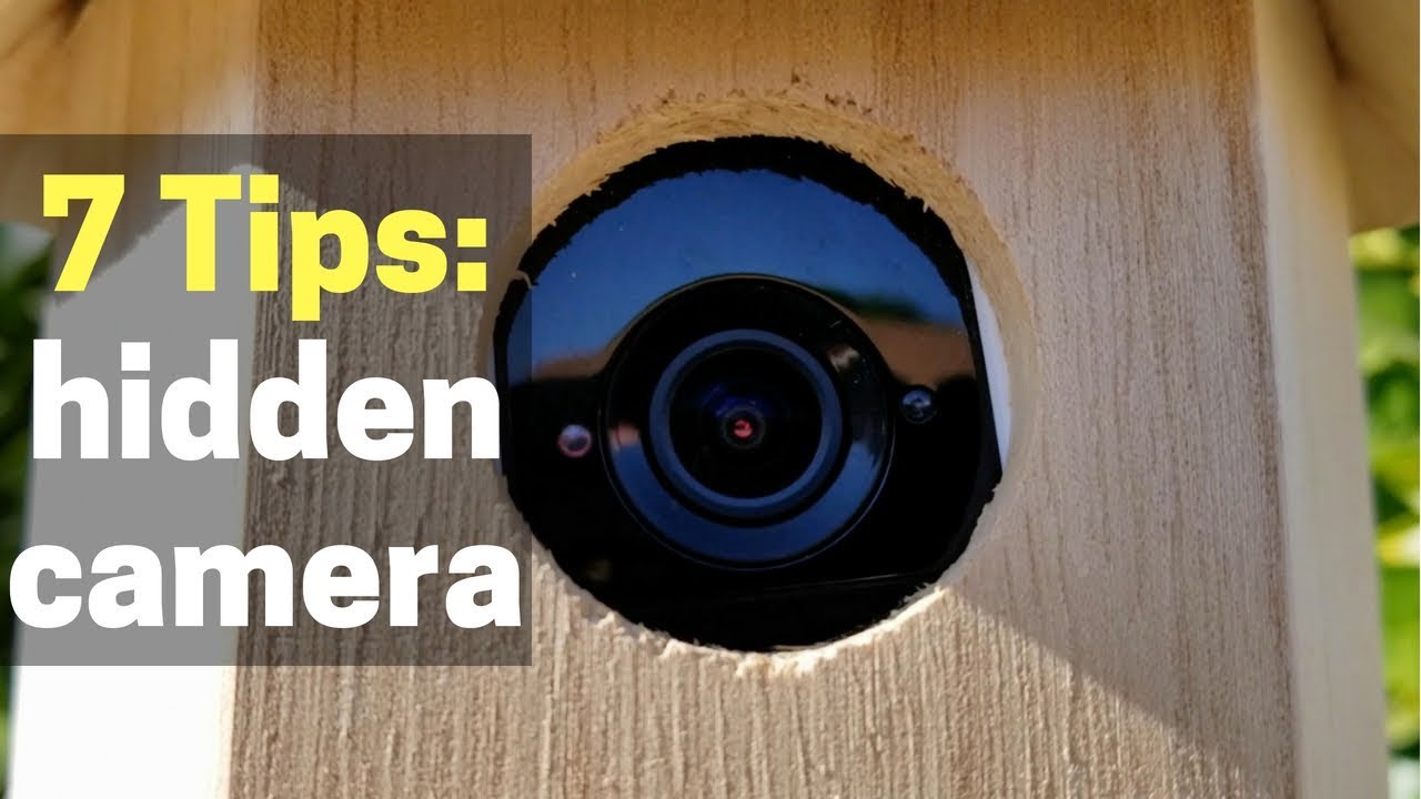 10 Hacks How To Hide A Trail Cam For Home Security