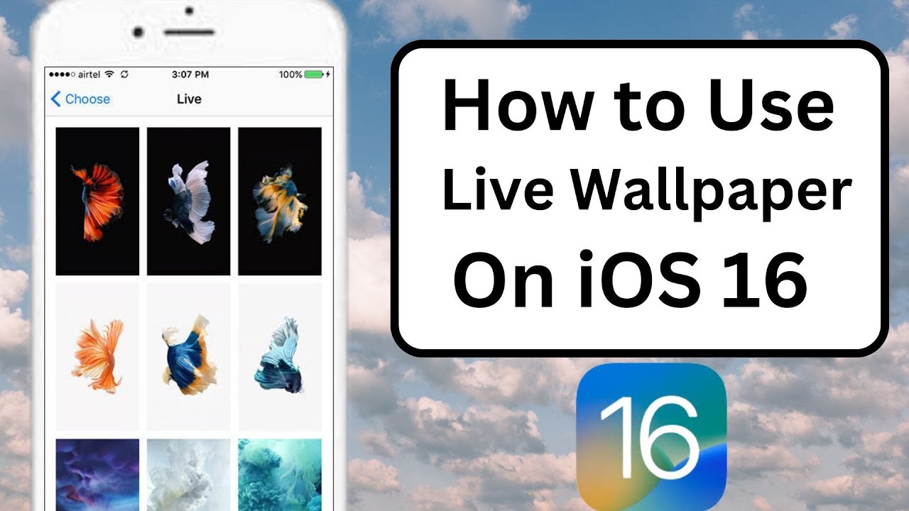 How To Use Live Wallpaper Infoupdate Org