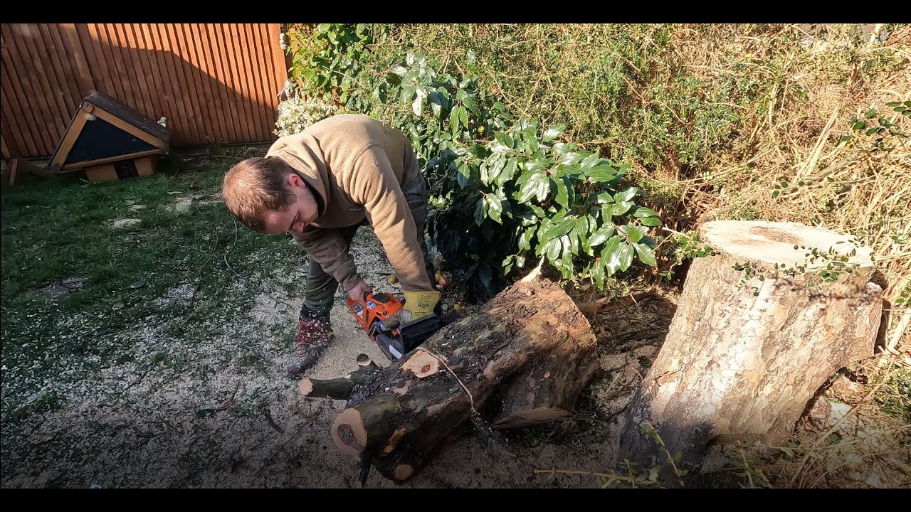 Tree Surgeon A Day In The Life 4k Part 2 Youtube