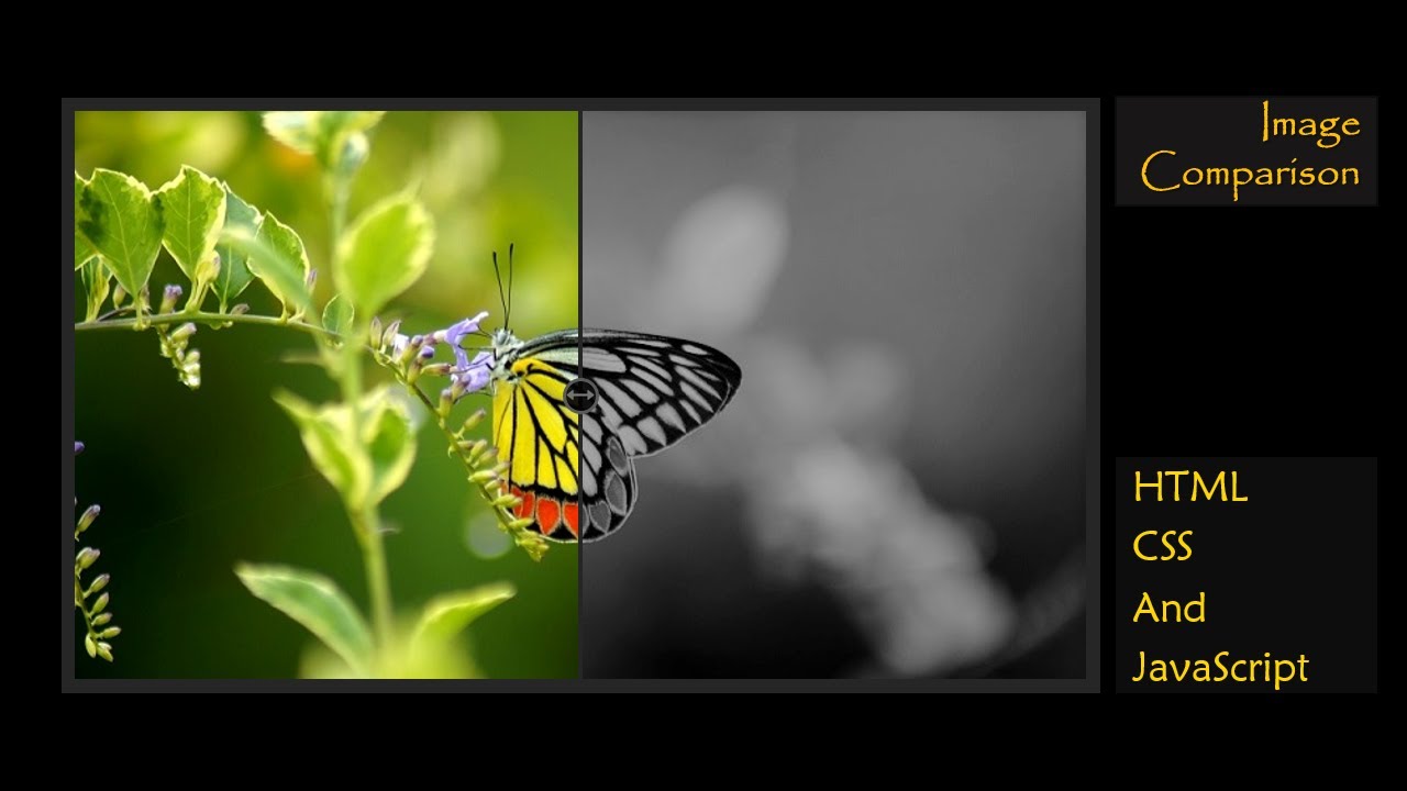 Image Comparison Slider Using Html Css And Javascript Image