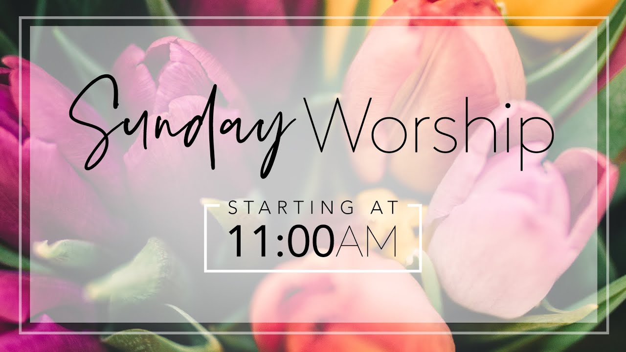 New Providence Baptist Church Live Stream Youtube