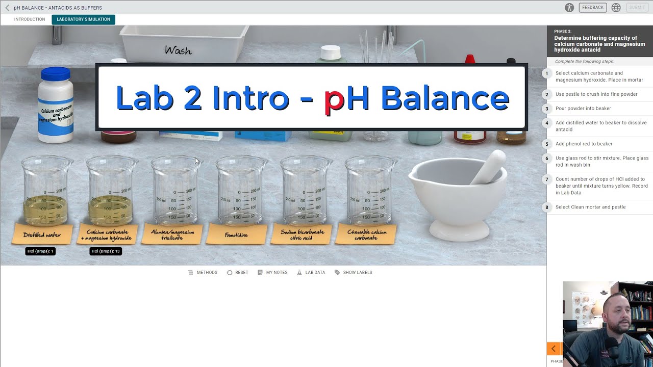 Antacids And Buffers At Annalisa Hanley Blog