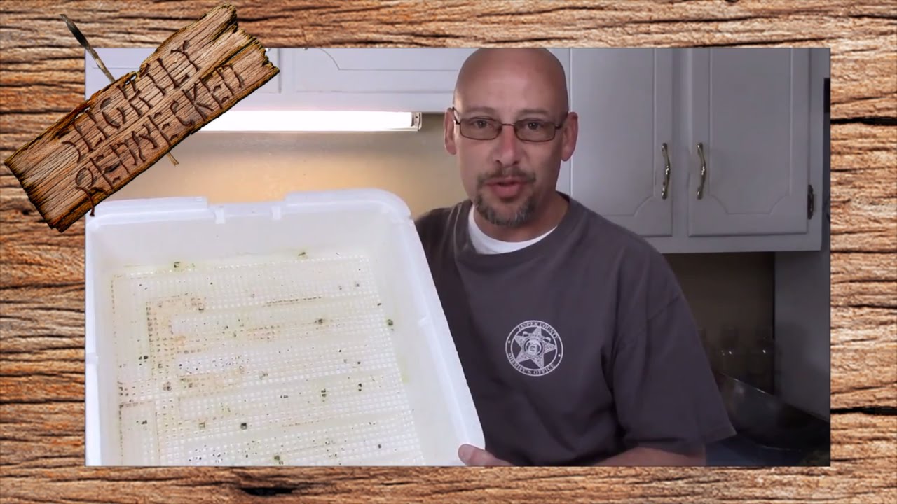 Improving Your Hatch Rate Part 5 Sanitizing Your Incubator Youtube