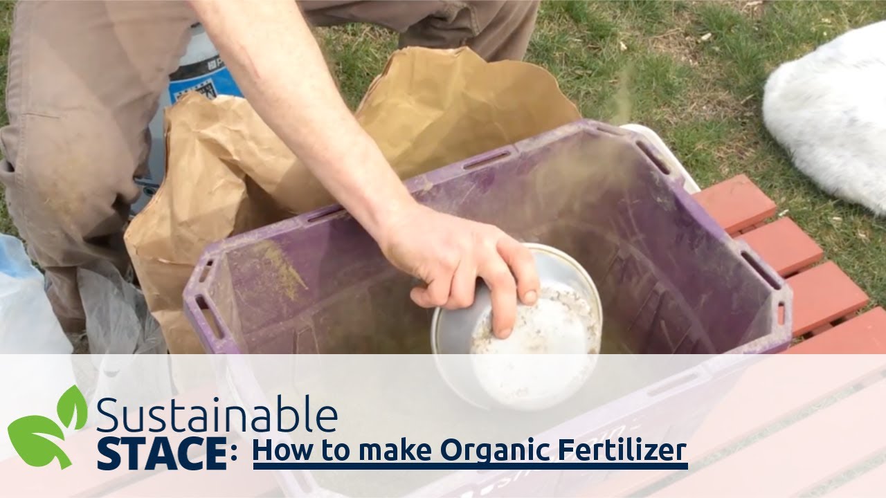 How To Make Organic Fertilizer Youtube