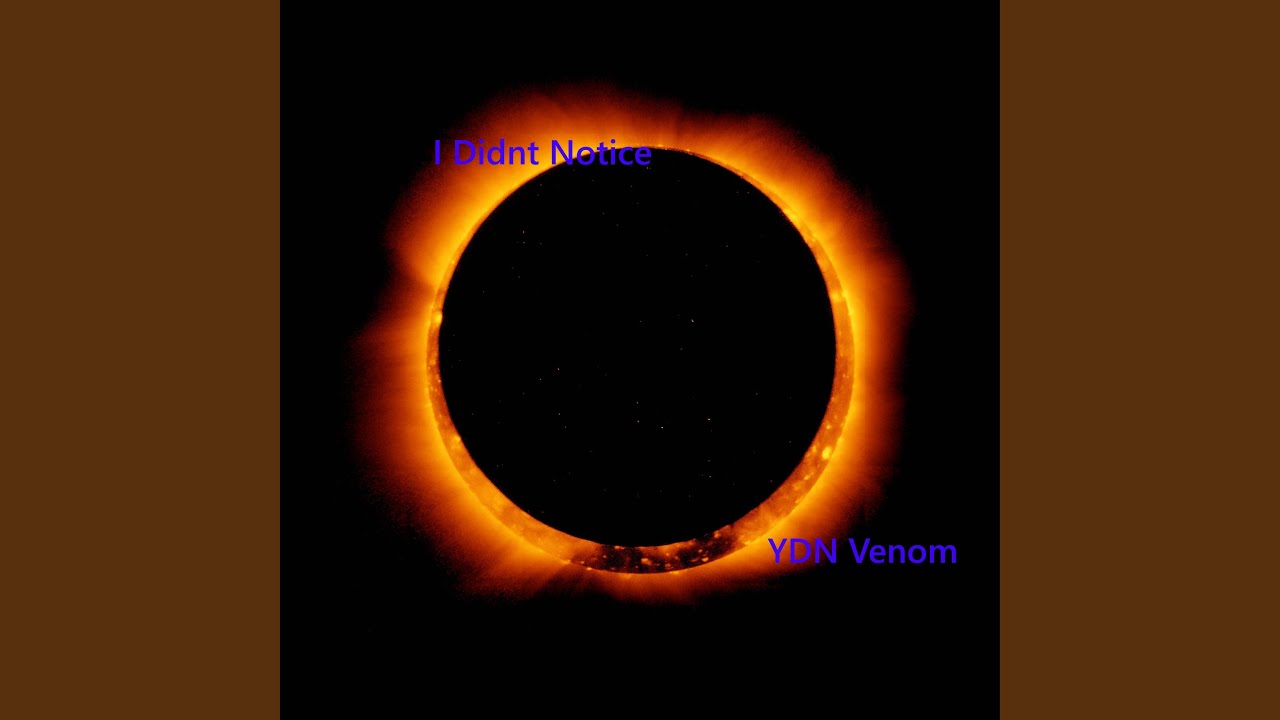 I Didnt Notice Youtube