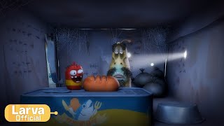 I M A Queencard рџ Larva Girls Animation Compilation Larva Tuba