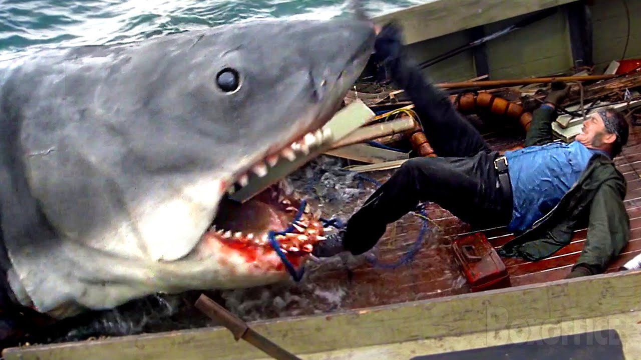 Man Vs Shark Best Jaws Endings Compilation âš 4k Youtube