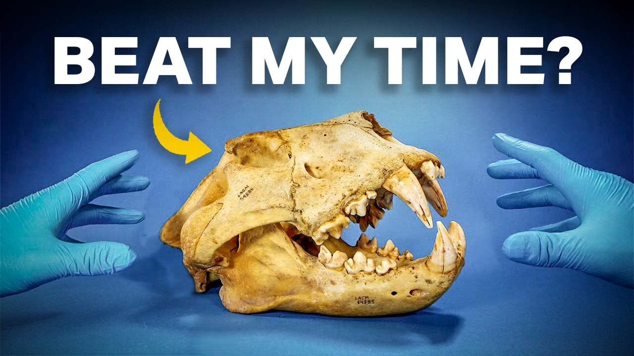 Mystery Skull Speedrun Ep 1 Youtube