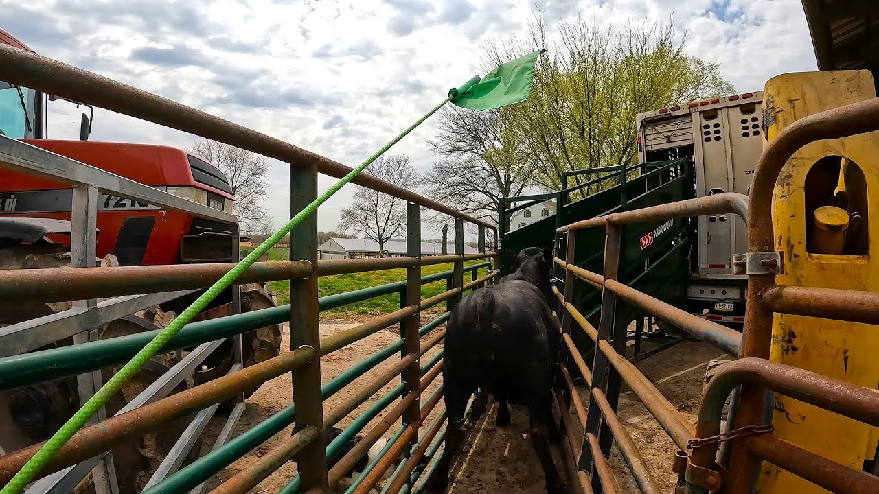 Loading Ramp In Action Youtube