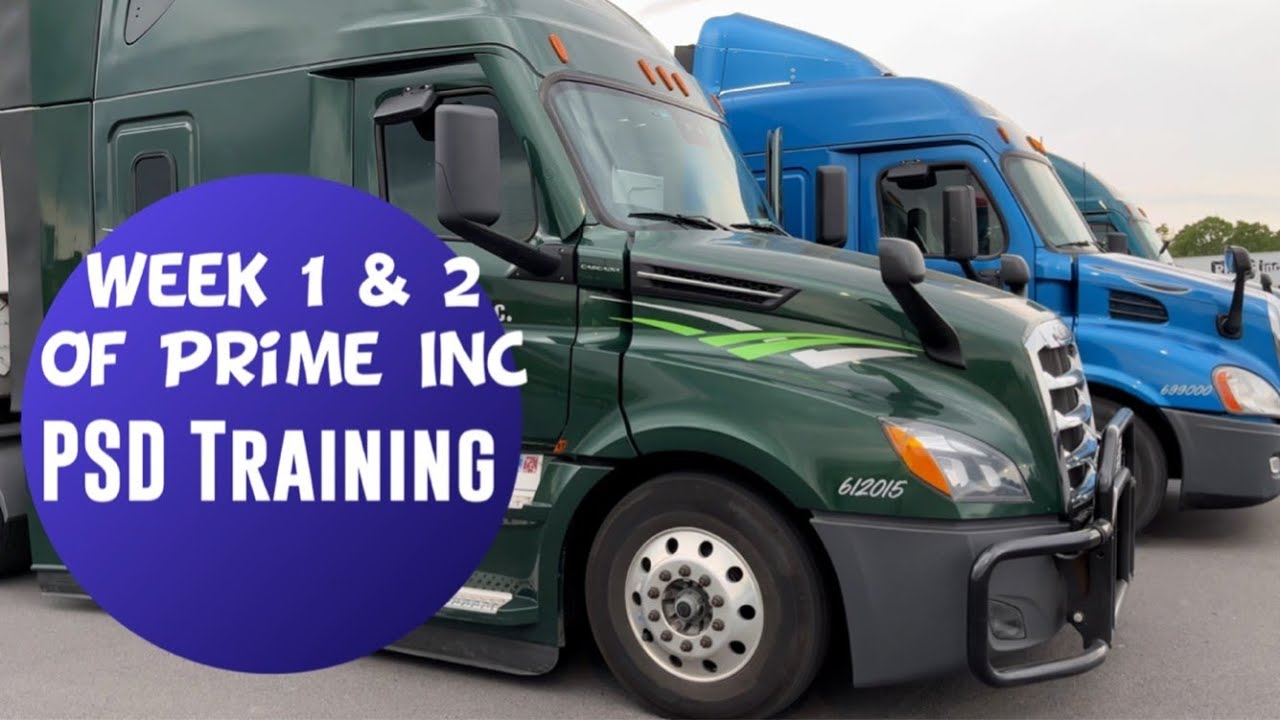 Week 1 2 Of Psd Training At Prime Inc Youtube