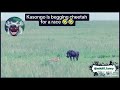 Kasongo Yeye Official Music Video 2024 Dr Khona Media Mp3 Music & Mp4 ...