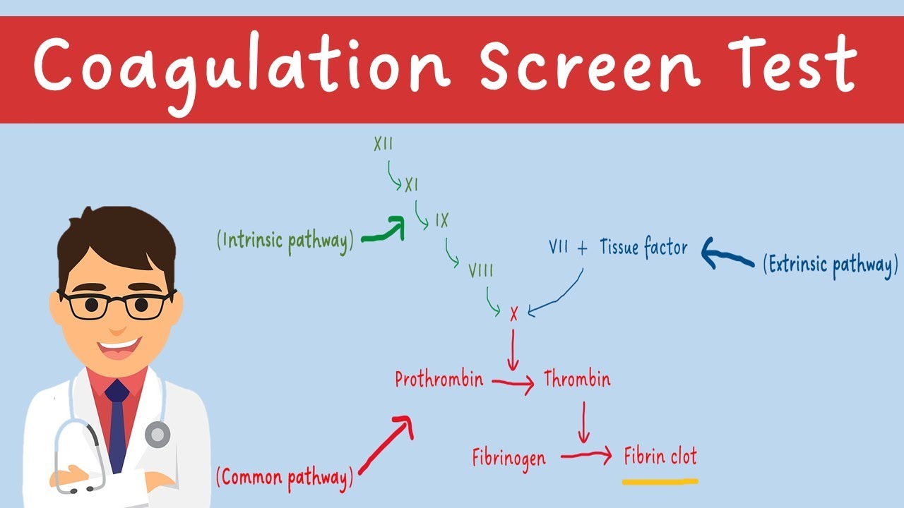 Coagulation Screen Interpretation Blood Test Analysis Made Easy