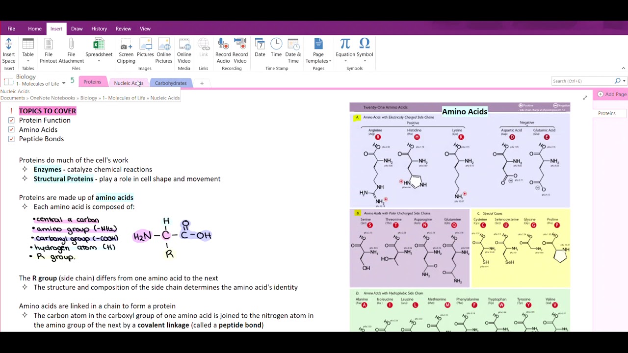 Onenote Tutorial Youtube