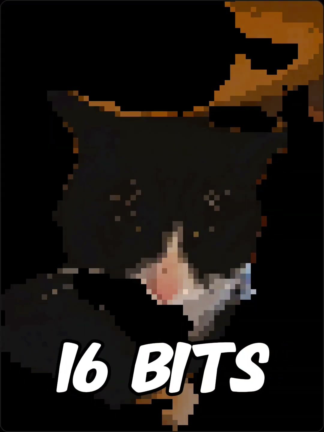 64 Bits 32 Bits 16 Bits 8 Bits 4 Bits 2 Bits 1 Bits Youtube