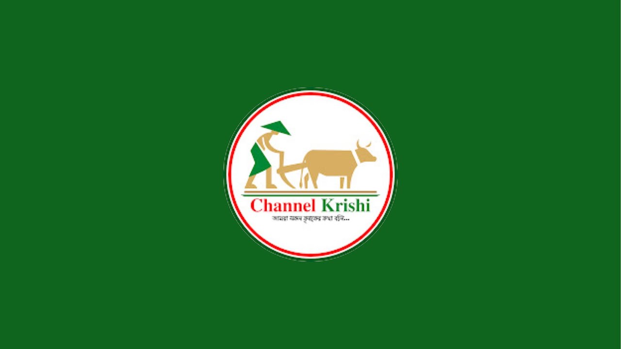 Channel Krishi Is Live Youtube
