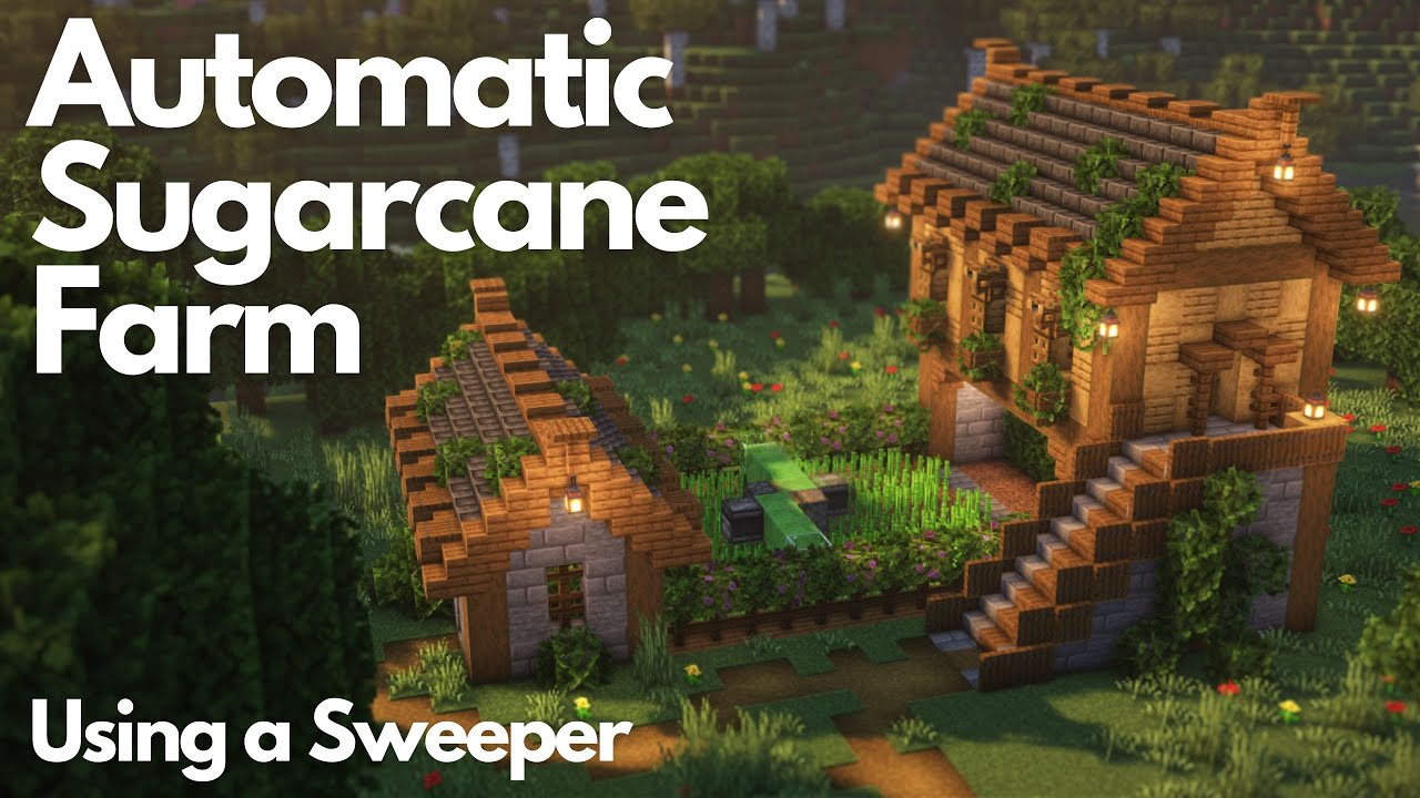 Automatic Sugarcane Farm Minecraft Tutorial Java 1 21 Youtube
