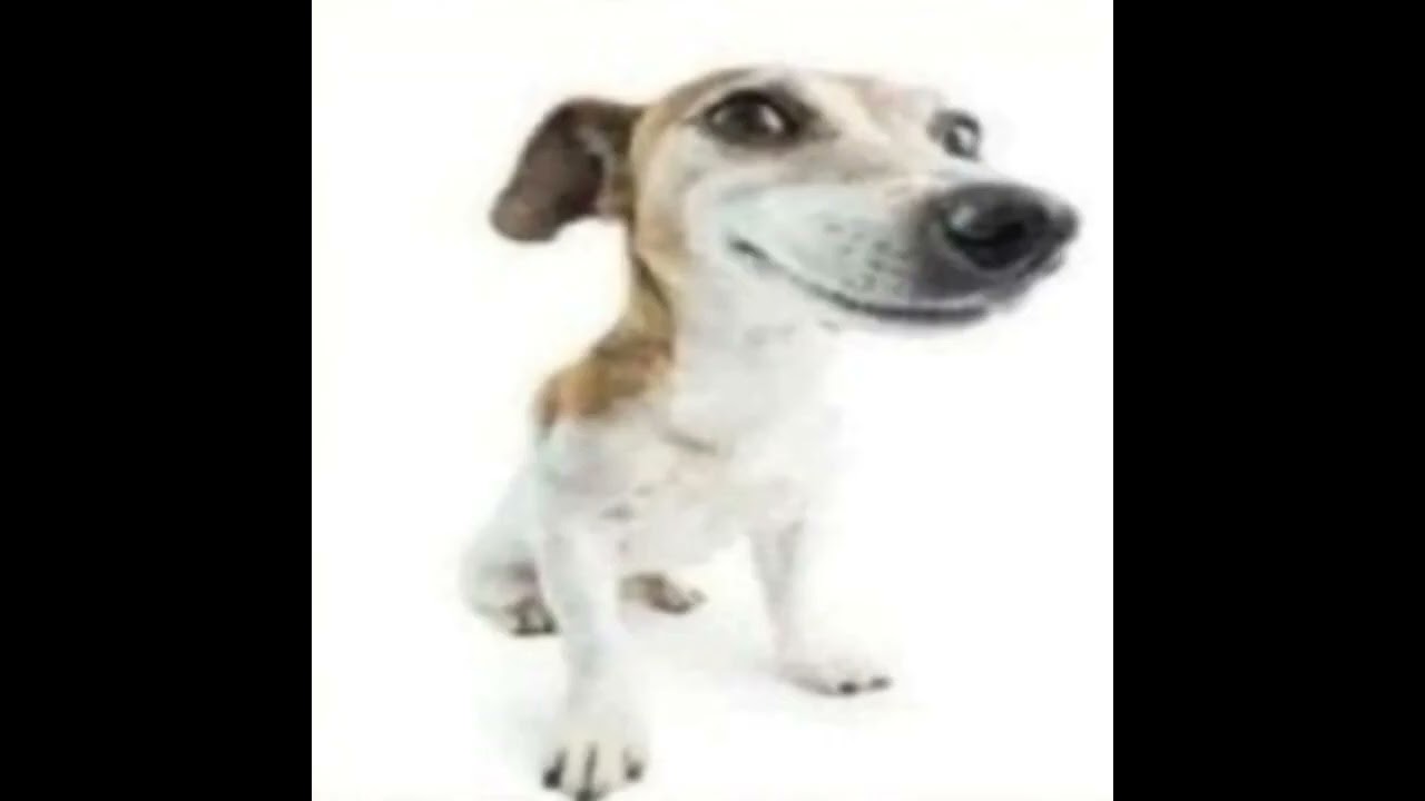 Wenomechainsama Música Completa Wenomechainsama Youtube