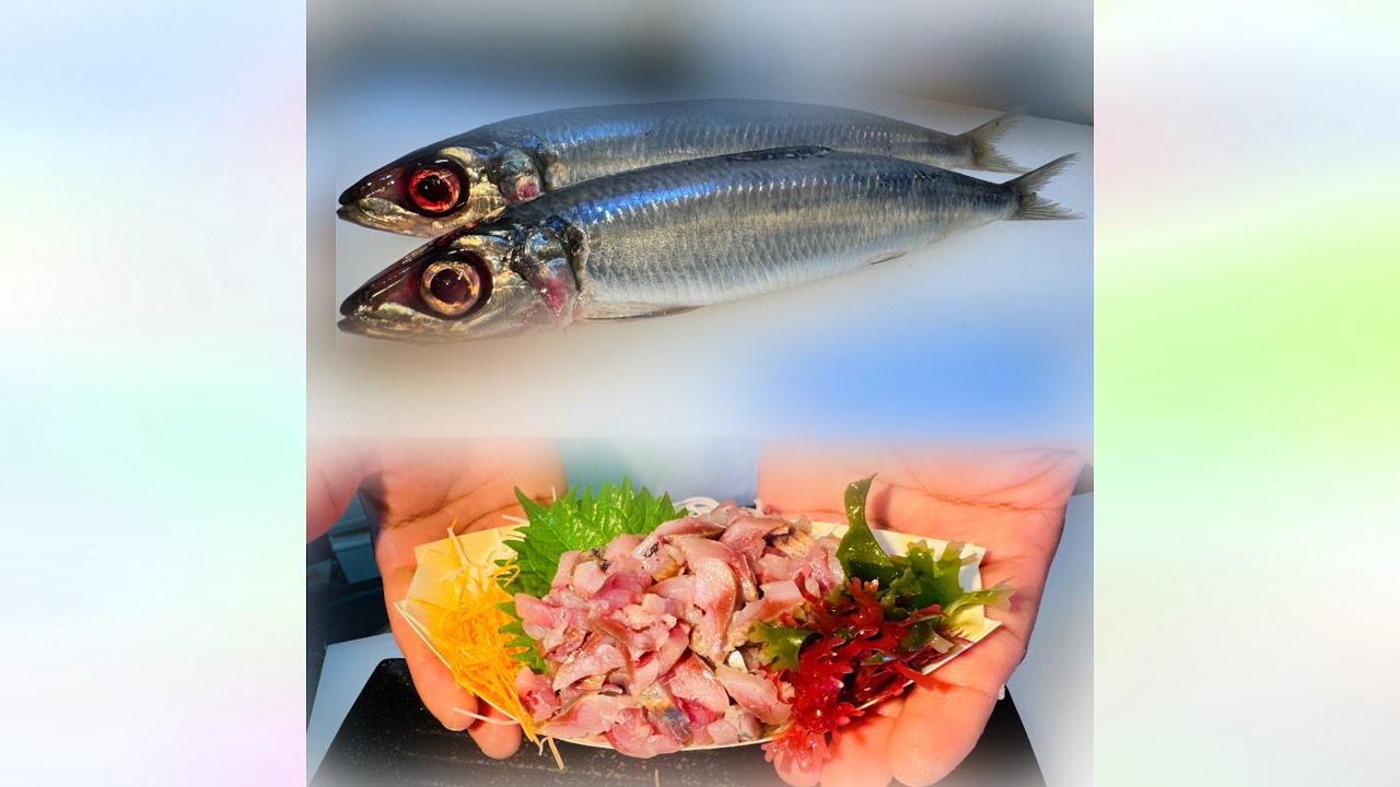 うるめいわしさしみ ウルメイワシ刺身 たたき Herring Fish Sashimi Youtube