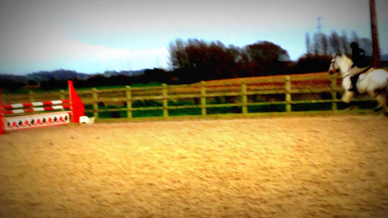 Jumping Jack Flash Xiii Kings Sedgemoor Equestrian 4th 1 05 Youtube