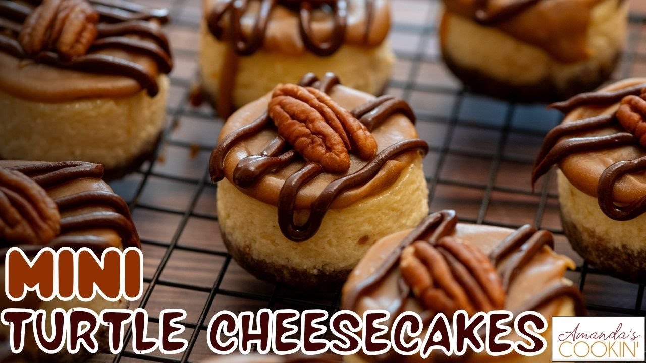 Mini Turtle Cheesecakes Pure Bliss Youtube