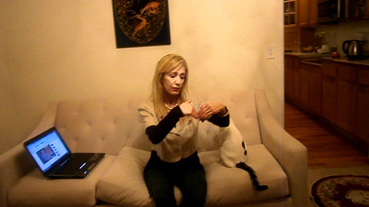 Pouran Sign Language Song Avi Youtube