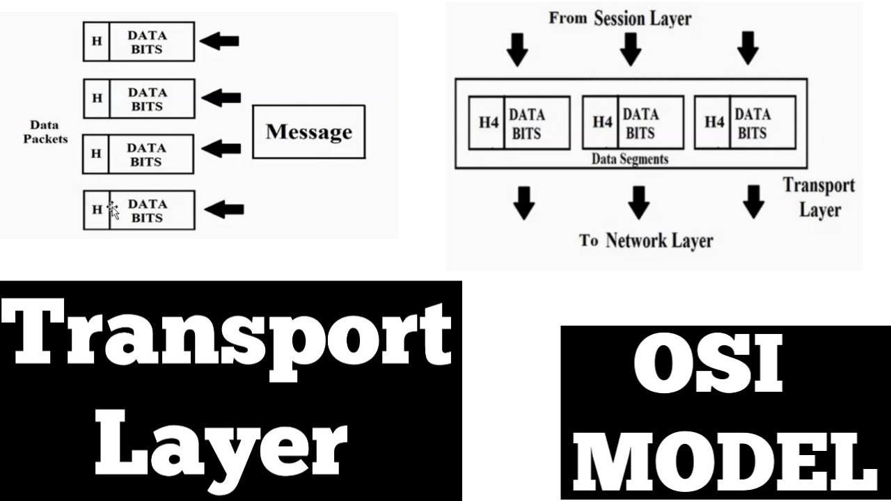Transport Layer Osi Model Basic Concepts Youtube