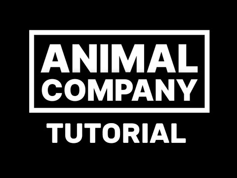 Animal Company Tutorial Youtube