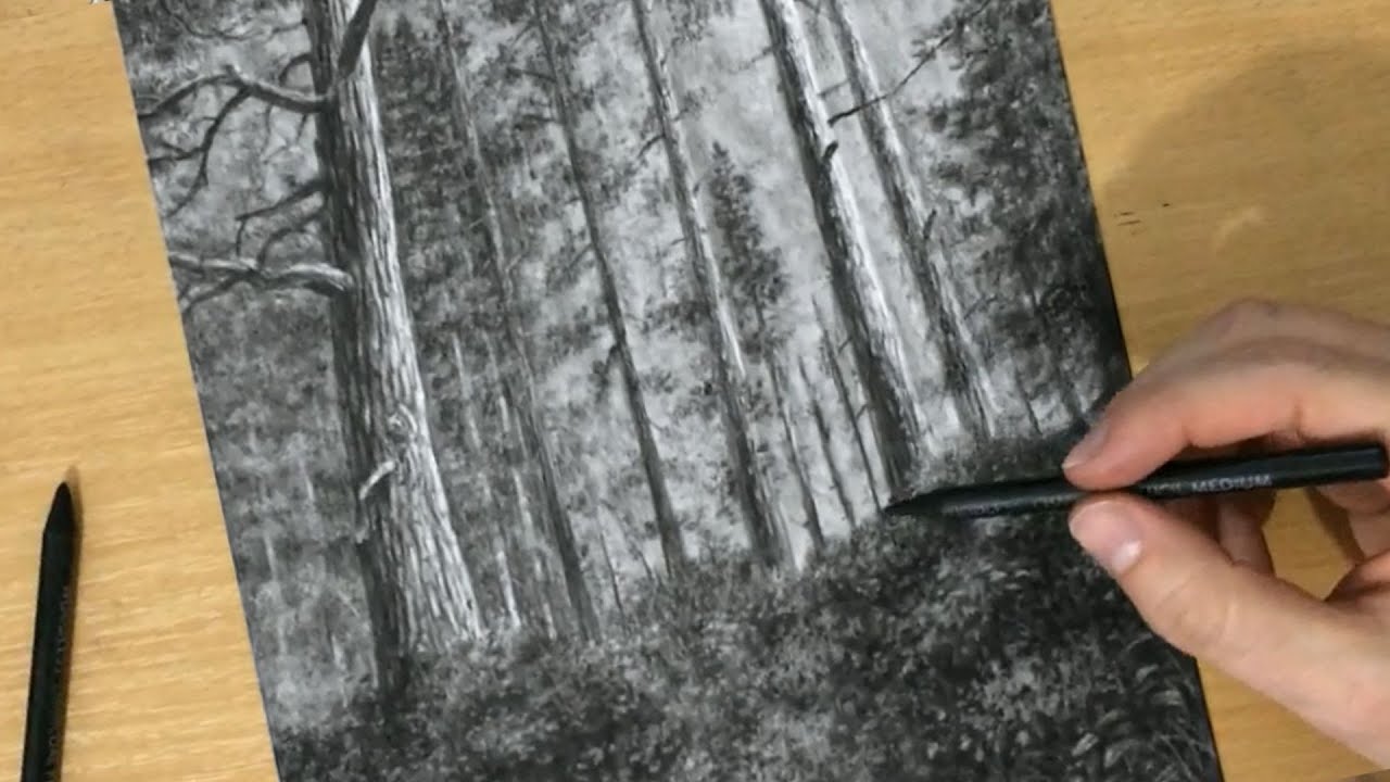 Under The Trees Charcoal Drawing Time Lapse Youtube