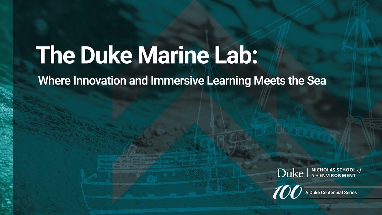 The Duke Marine Lab Where Innovation And Immersive Learning Meets The