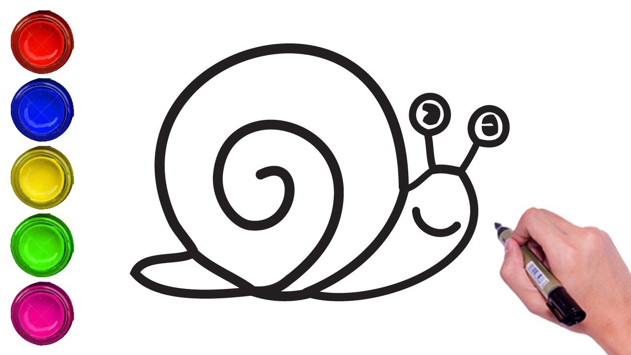 Snail Drawing With Steps At Emery Espinosa Blog