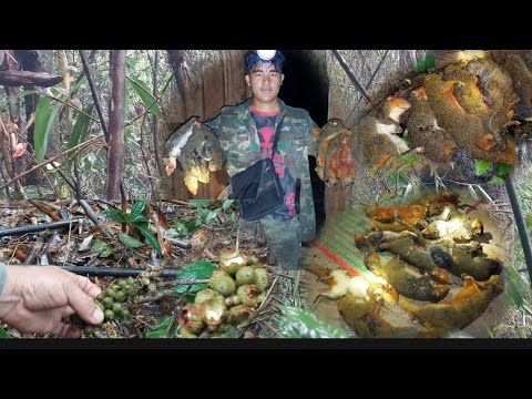 Hunting Youtube
