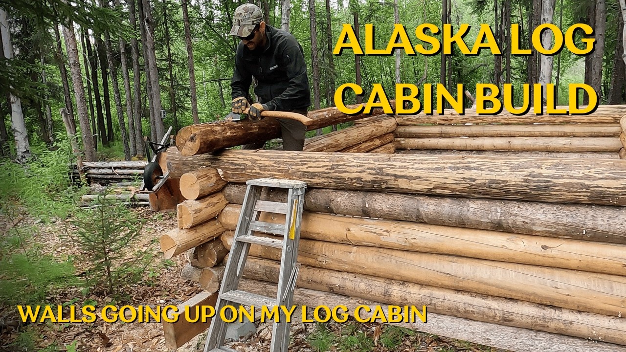 Building A Log Cabin Youtube