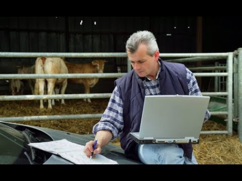 Self Assessment Tutorial Youtube