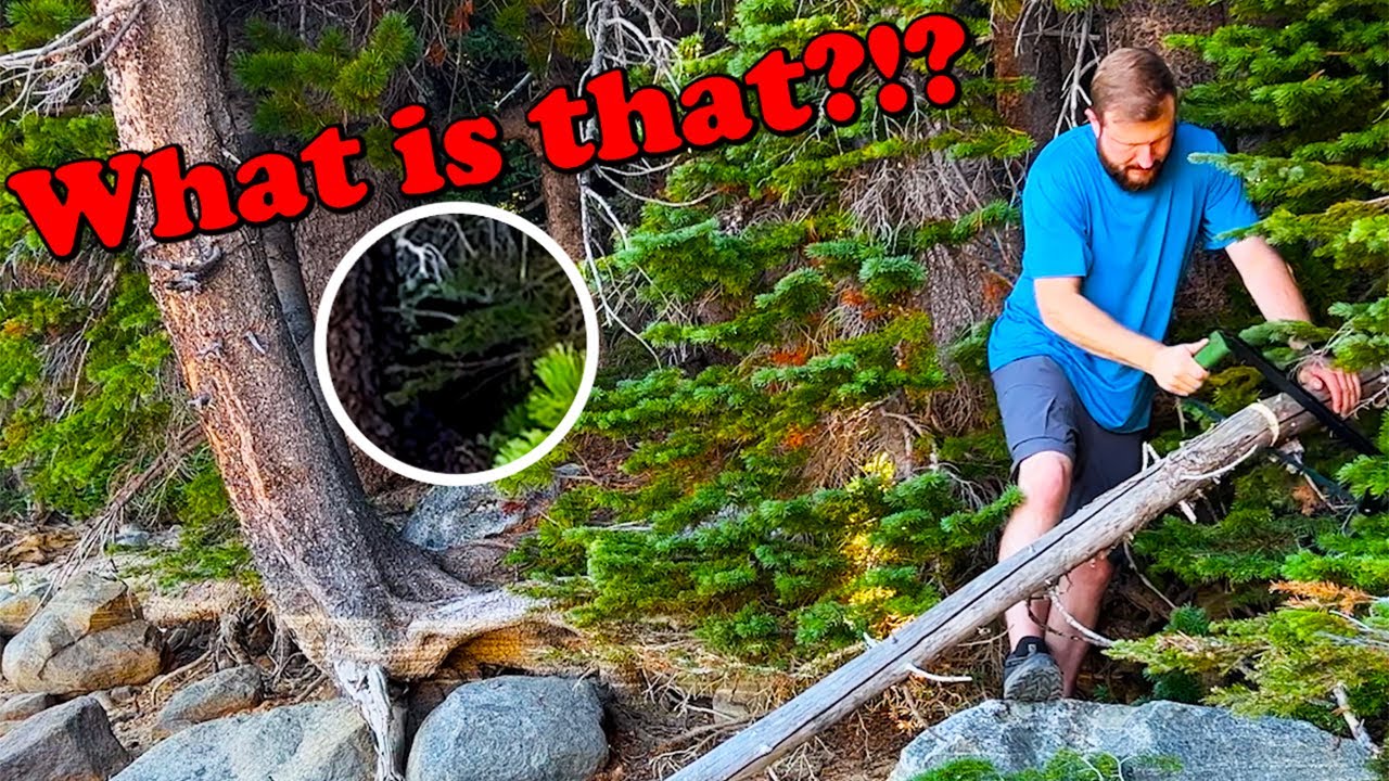 Was That Bigfoot Shorts Bigfoot Sasquatch News