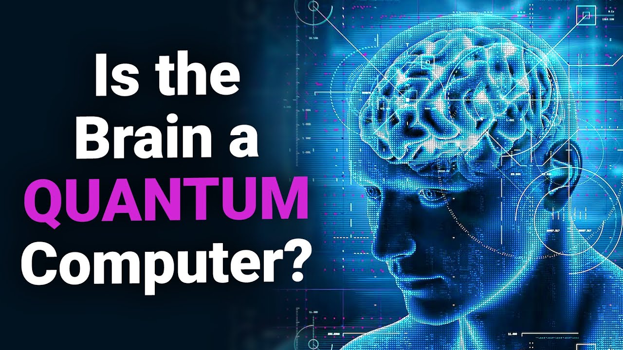 Stuart Hameroff Is The Brain A Quantum Computer 4k 353 Youtube